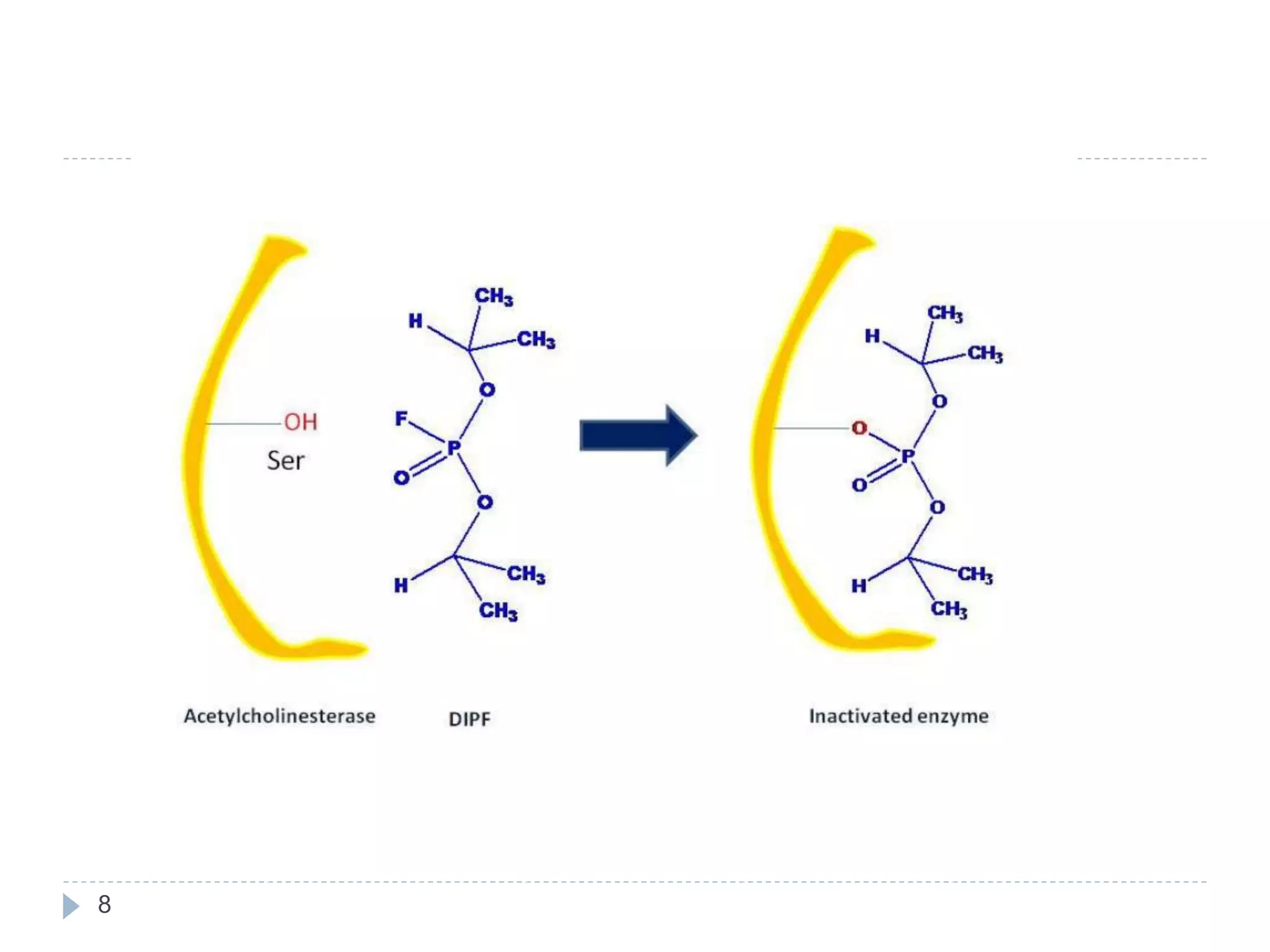 Rational design of non- covalently and covalently binding.pptx ...