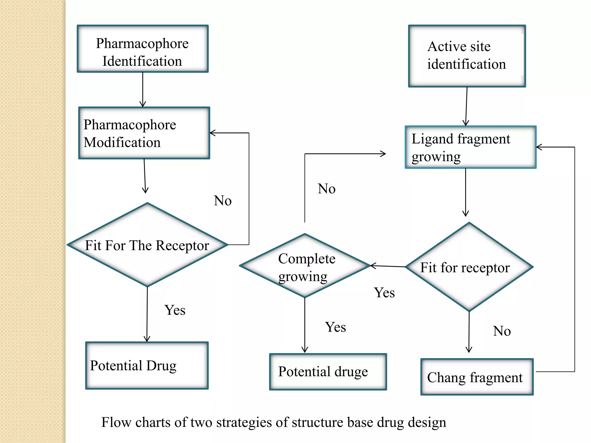 Rational drug design method | PPTX