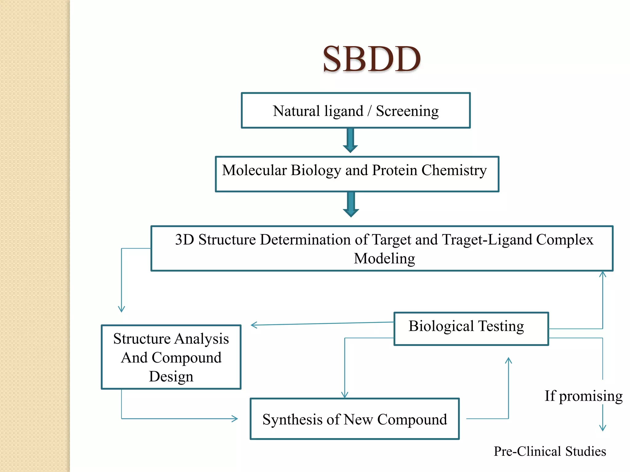 Rational drug design method | PPTX