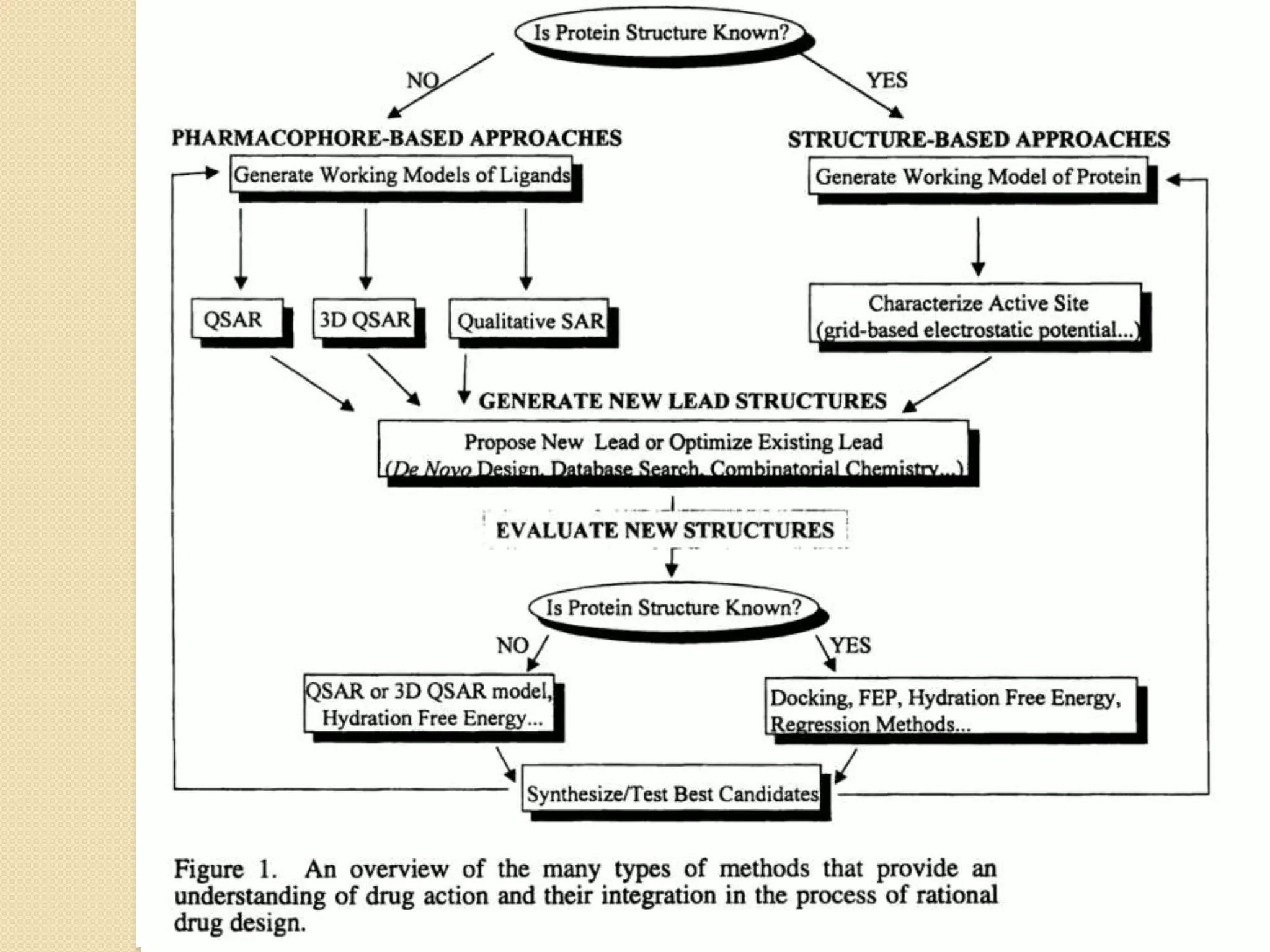 Rational drug design method | PPTX