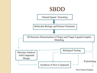 Rational drug design method | PPTX