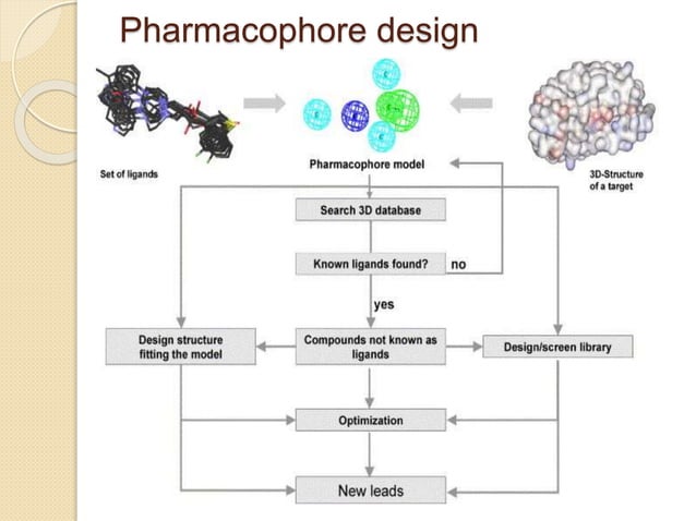Rational drug design method | PPTX