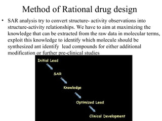 Rational drug design | PPT