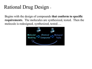 Rational drug design | PPT