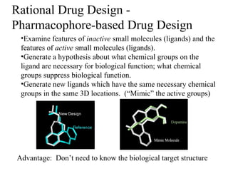 Rational drug design | PPT