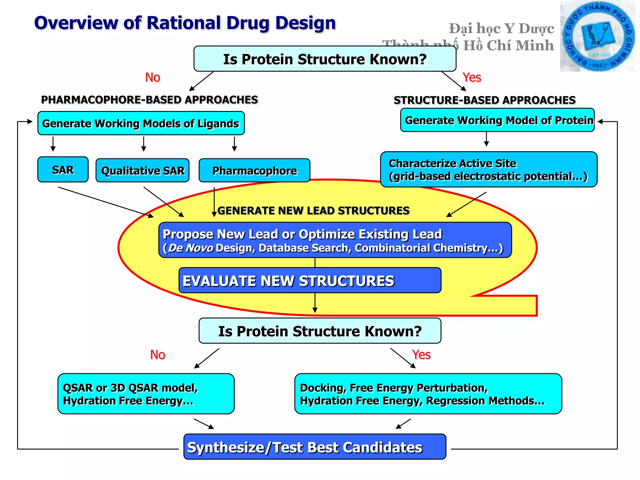 Rational drug design | PDF