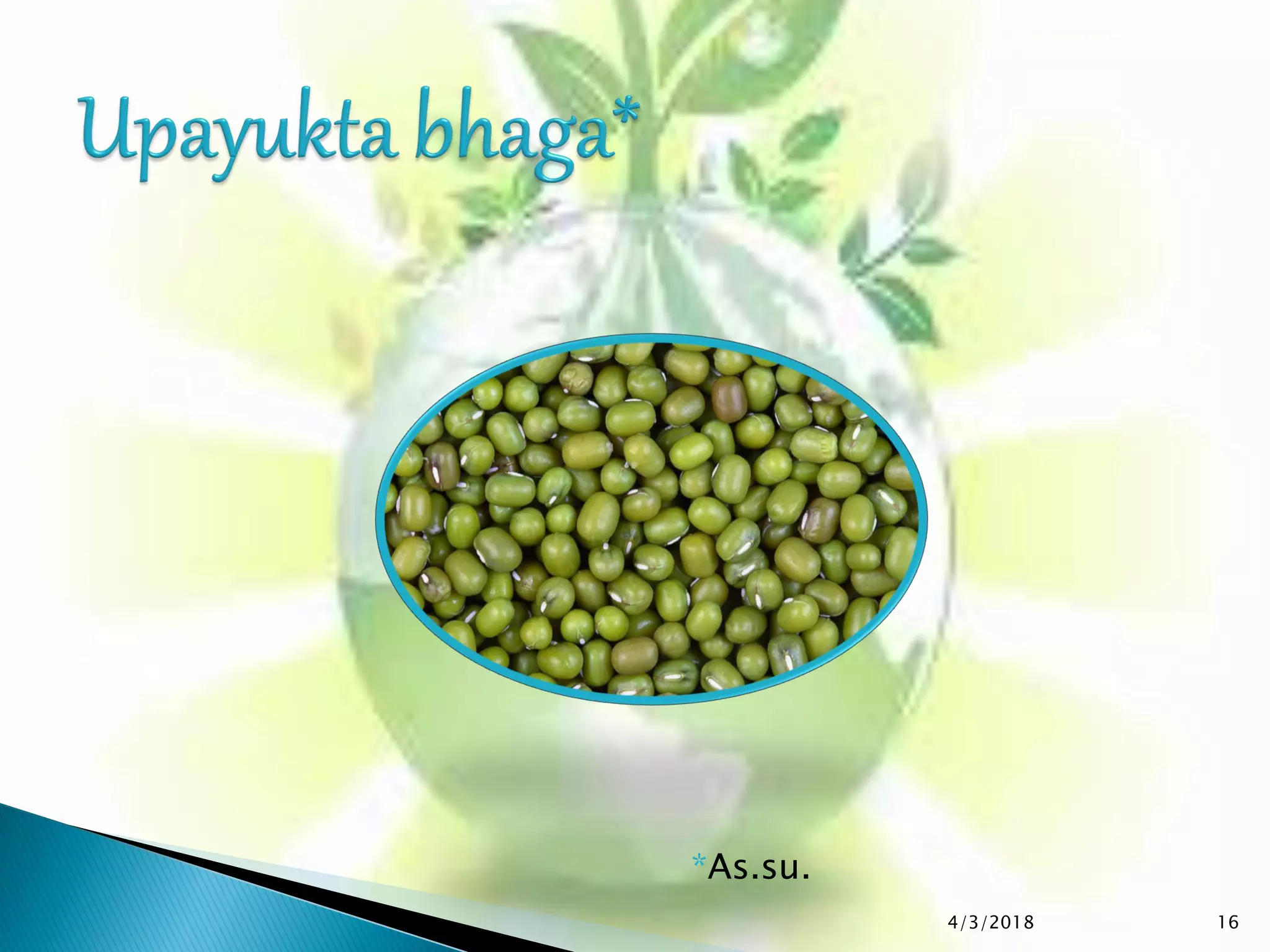 Rationality behind nitya sevaniya ahara dravya w.s.r to mudga in ...