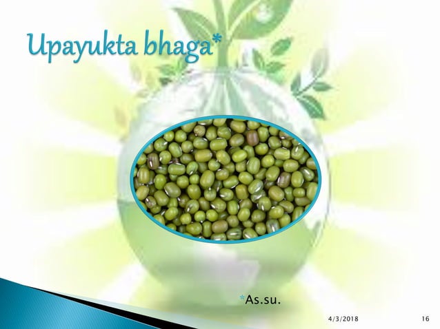 Rationality behind nitya sevaniya ahara dravya w.s.r to mudga in ...