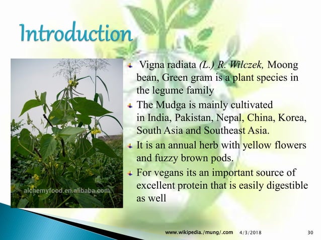 Rationality behind nitya sevaniya ahara dravya w.s.r to mudga in ...