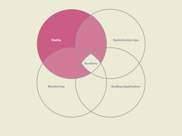 Rationally boost your symfony2 application with caching tips and monitoring