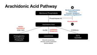 Rational NSAID Use IM.pptx