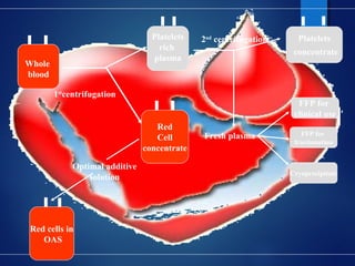 Rational use of blood | PPT