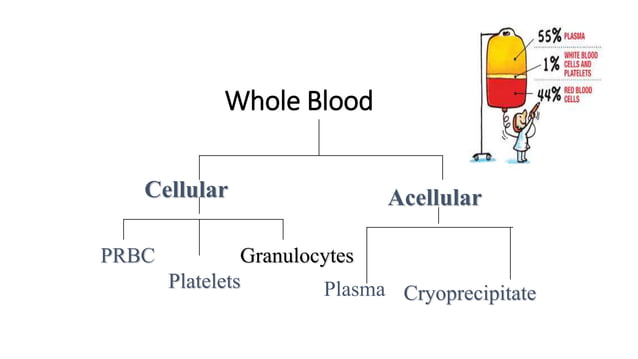 Rational use of Blood.pptx | Blood Disorders | Diseases and Conditions