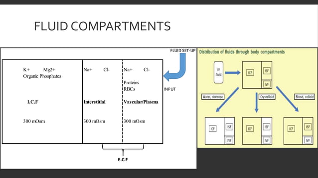 Rational use of intravenous fluids by Dr. Ketor | PPT