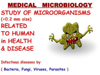 Rational Use of Laboratory in clinical diagnosis.ppt
