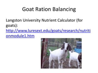 Ration balancing | PPTX