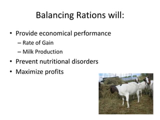 Ration balancing | PPTX