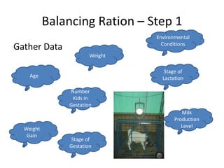 Ration balancing | PPTX