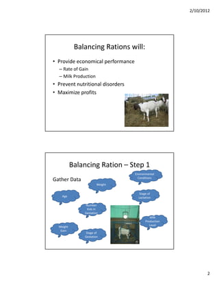 Ration balancing | PDF | Nutrition | Healthy Living