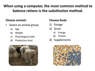 Ration balancing software for sheep | PPTX