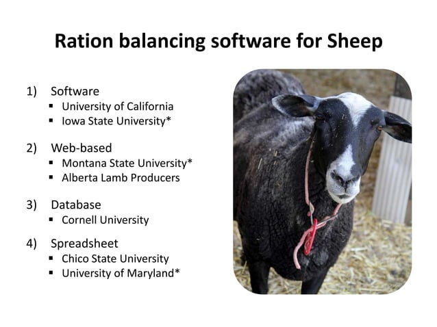 Ration balancing software for sheep | PPTX | Pet Supplies | Pets