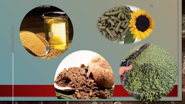 RATION FORMULATION- GRADE 9 ANIMAL PRODUCTION | PPTX | Nutrition ...