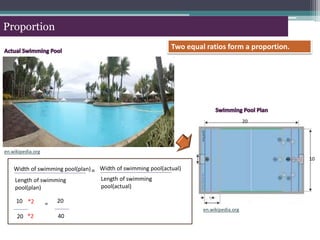 Ratios and proportions | PDF | Landscaping | Home & Garden