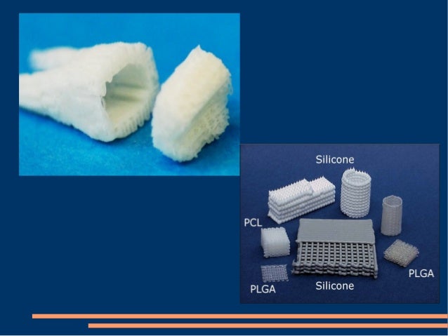 Bioengineered Dental tissues grown in rat jaw
