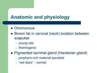 ratmodulenewreadytoload.ppt | Reproductive Health | Diseases and Conditions