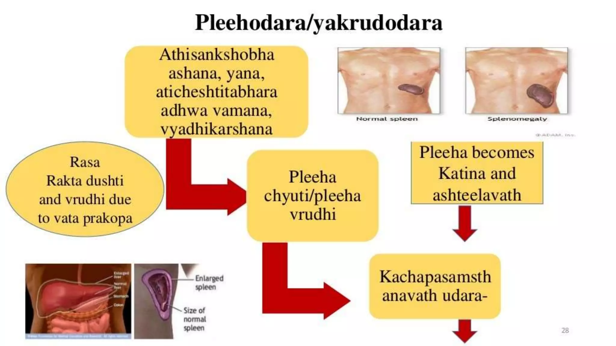 udara roga ascites | PPTX