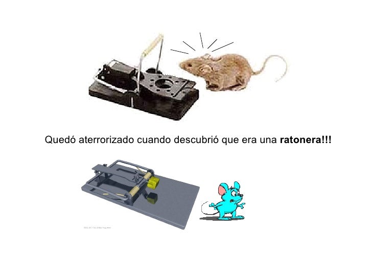 Ratonera