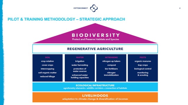 RA Training topic_Updated_New_Version.pptx