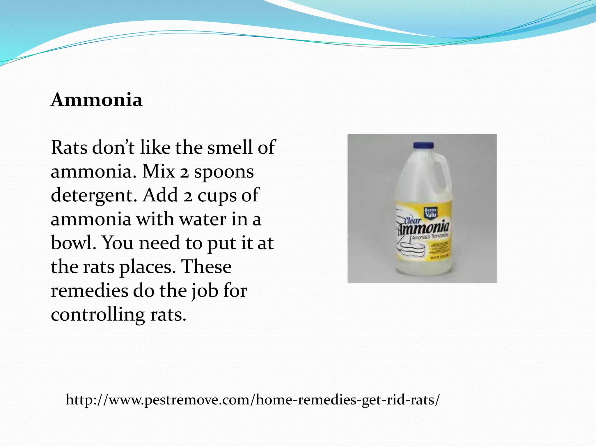 Home remedies to get rid of rats | PPT
