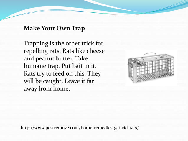 Home remedies to get rid of rats | PPTX