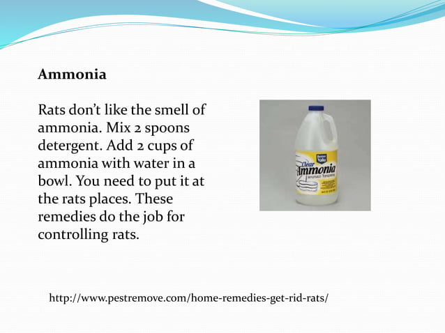 Home remedies to get rid of rats | PPTX