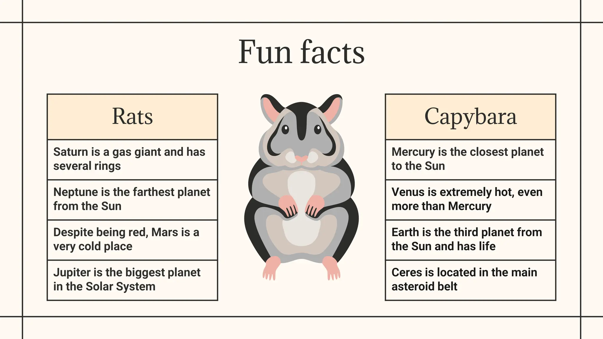 Rats and Other Rodents by Slidesgo power point.pptx