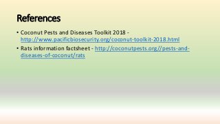 Rats Powerpoint - Year 6.pptx