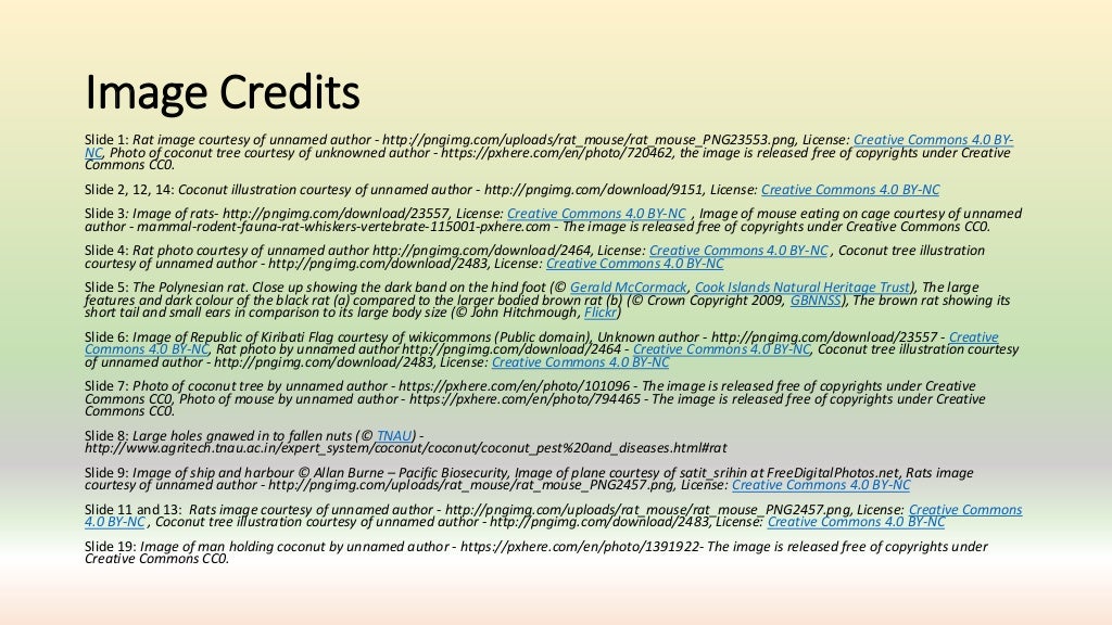 Rats Powerpoint - Year 6.pptx