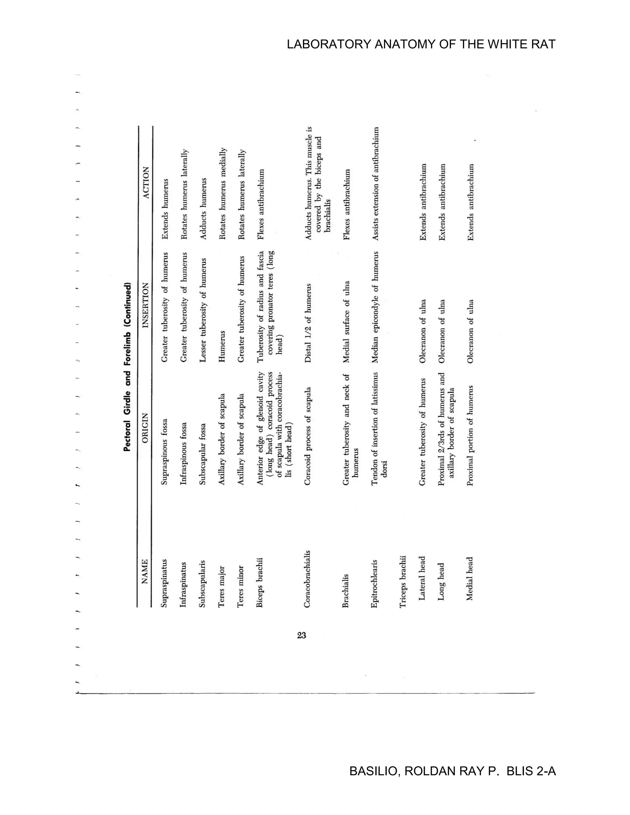 Laboratory Anatomy Of The White Rat Pdf Pdf Biological Sciences