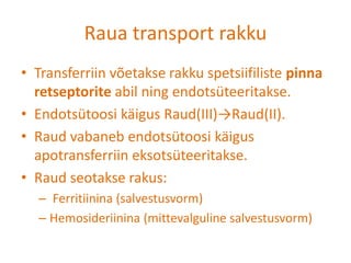 Raud | PPTX