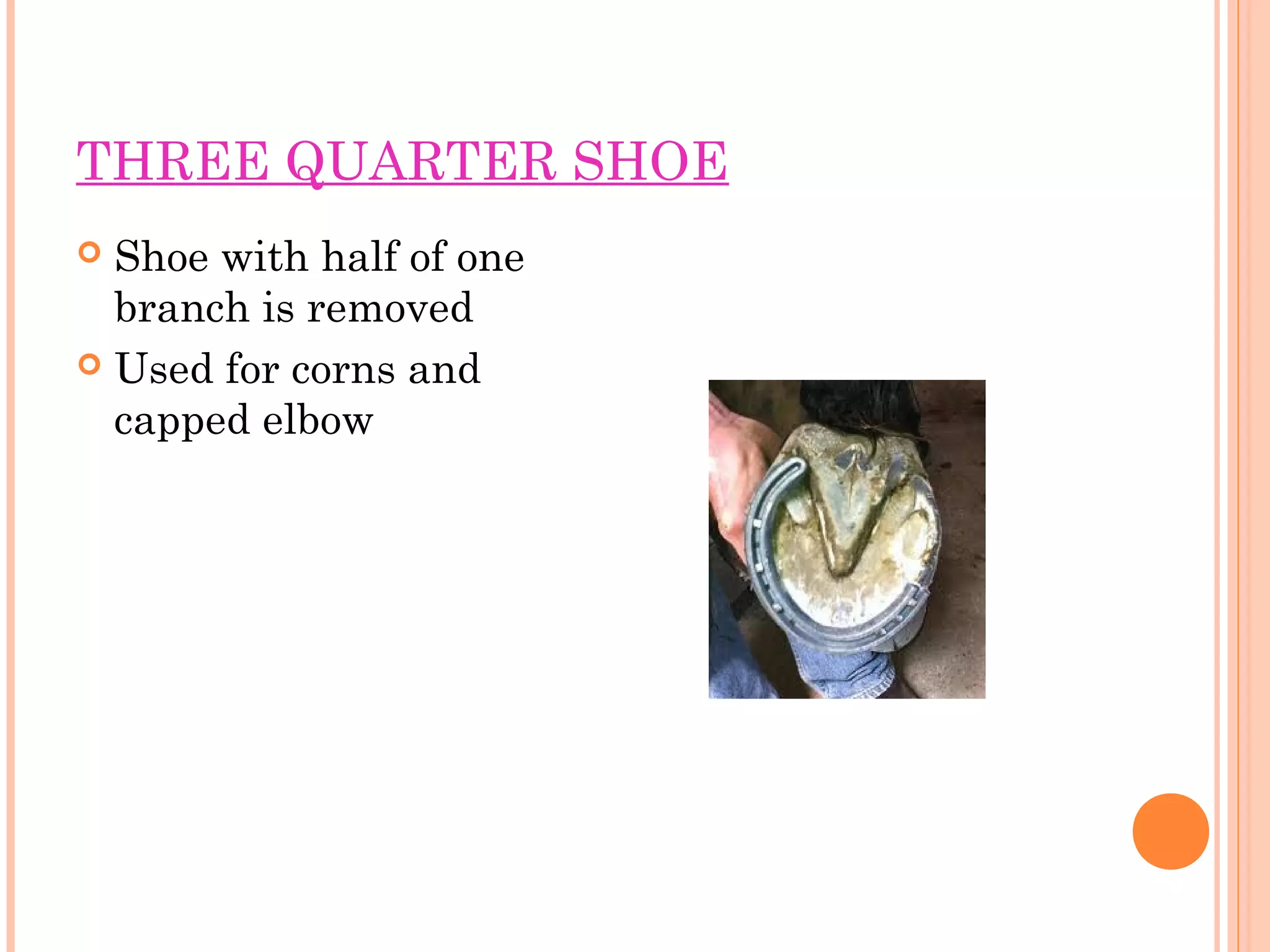types of horse shoes | PPT