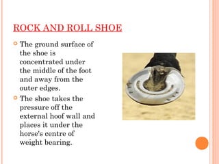 types of horse shoes | PPT