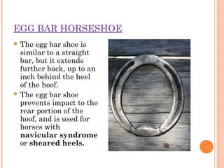 types of horse shoes | PPT