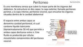 ASCITIS | PDF