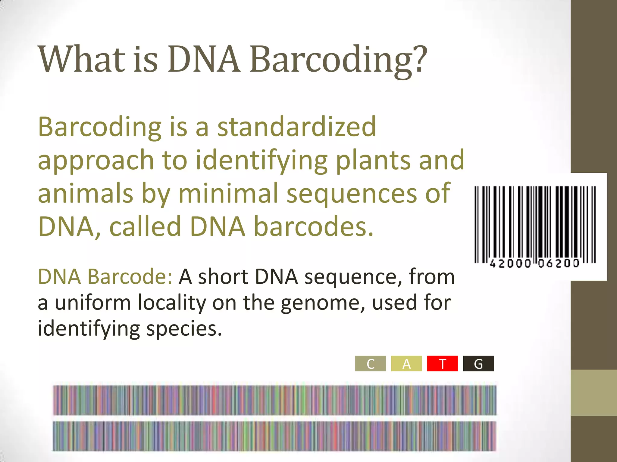 DNA barcode sequence identification incorporating taxonomic hierarchy ...
