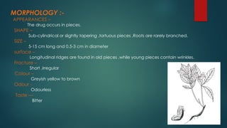 rauwolfia.ppt for pharmacognosy 5 th semester | PPTX