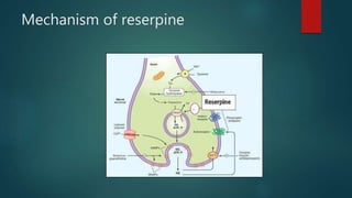Pharmacognosy of Rauwolfia ppt upload | PPTX