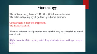 Pharmacognosy of Rauwolfia ppt upload | PPTX