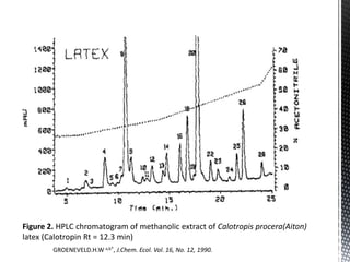 calotropis procera phytochemical and analytical study | PPTX