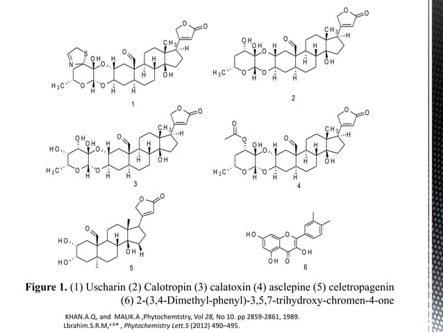 calotropis procera phytochemical and analytical study | PPTX ...
